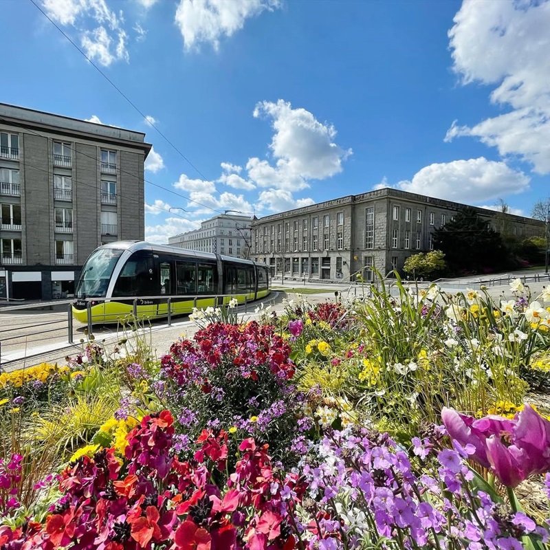 Découvrez l'offre d'été Bibus à compter du 23 juin ! | Bibus